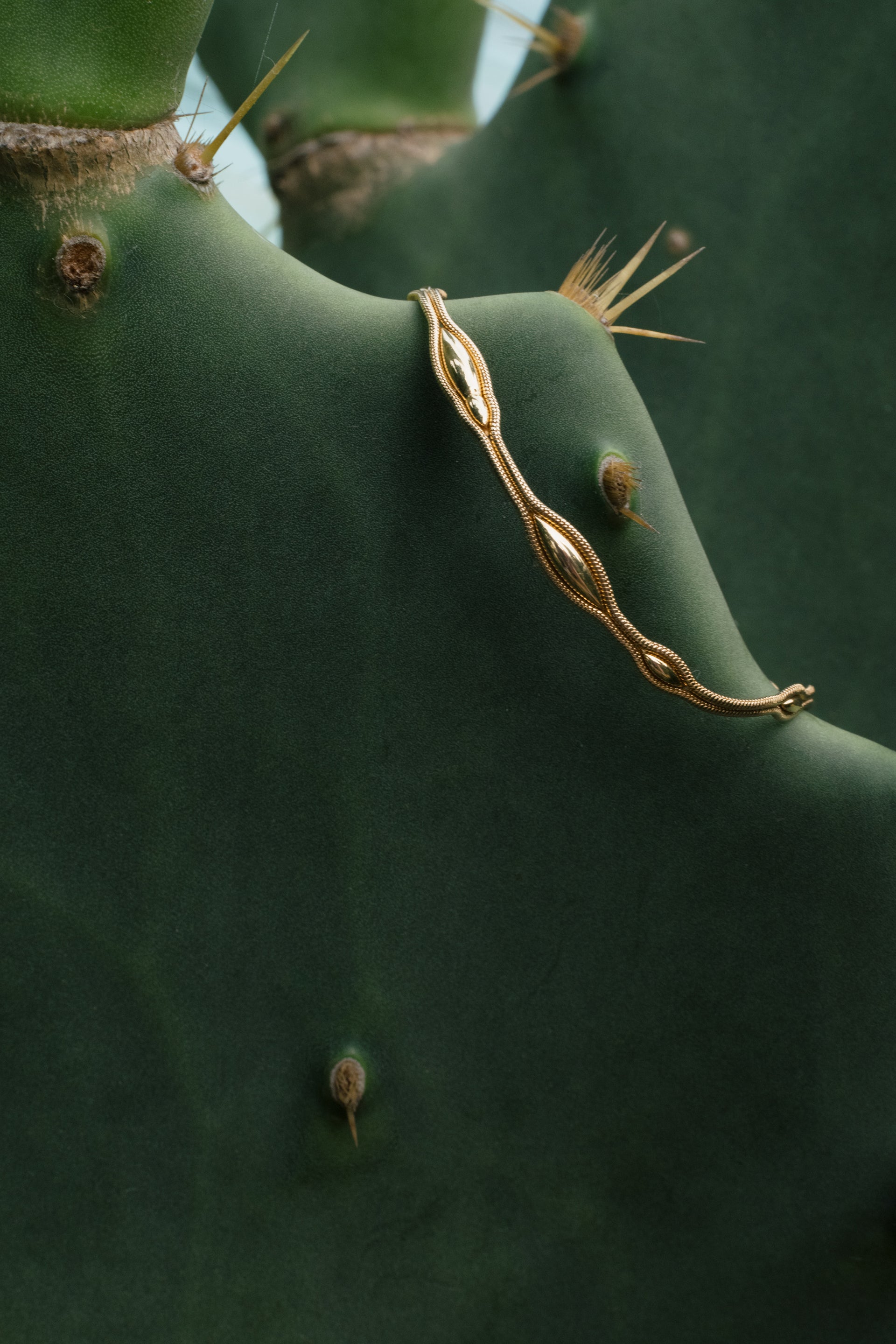 Fluid Thick Bracelet – Fernando Jorge